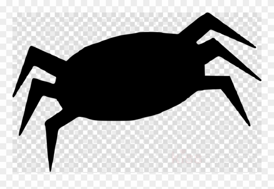 Clipart Resolution 1170*750 - Spider Drawing Black - Png Download ...