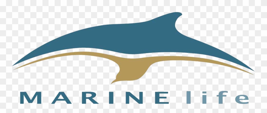 Download Our Affiliates - - Marine Animals Logo Clipart (#1637583 ...