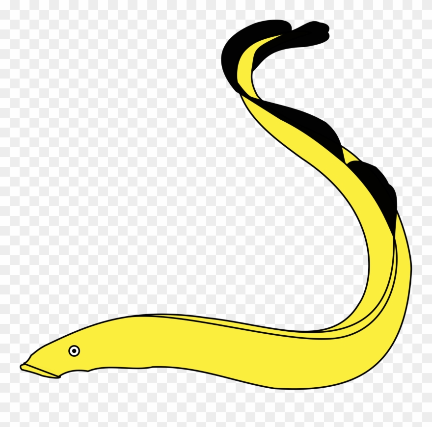 Download Similar Images For Cartoon Eel - Sea Lamprey Clipart - Png ...