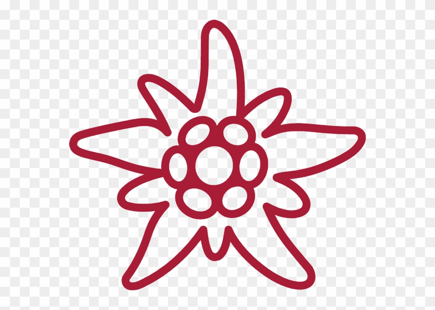 Png Free Download Air Direct Flights From Zurich To - Edelweiss Air ...