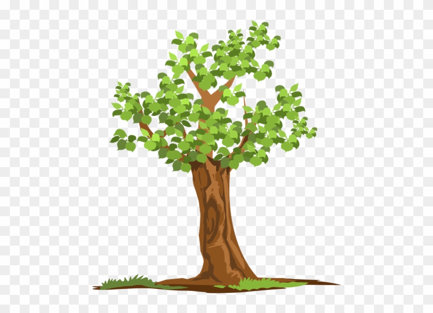 Clipart Leaf Pipal - Pipal Ka Ped Png Transparent Png (#1675800 ...