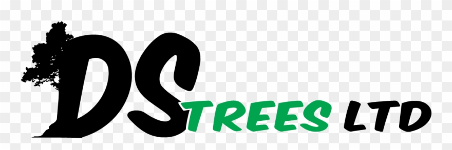 Download Auckland Tree Arborist - Unicorns And Other Mythical Horses ...