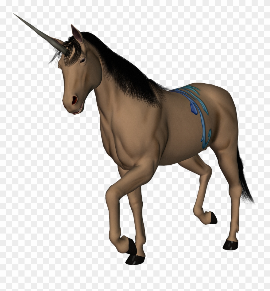 Unicorn Horse Fantasy Creature Png Image - Bronco Animal Png Clipart ...