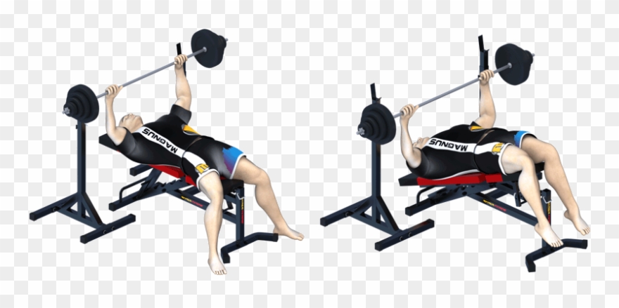 Ultimate Chest Training For Mass And Strength - Gym Clipart (#1706864 ...