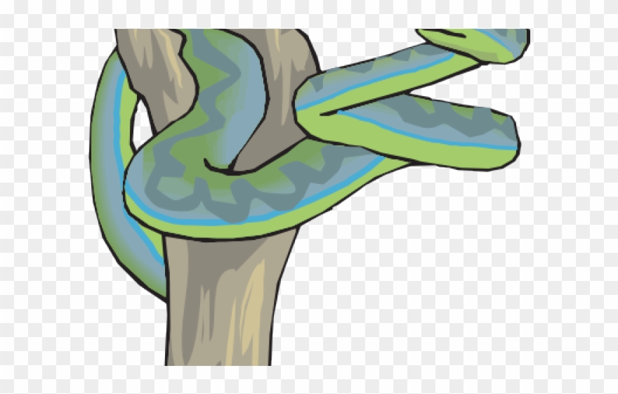 Snake Clipart Tree - Tree Snake In Clip Art - Png Download (#1712366 ...