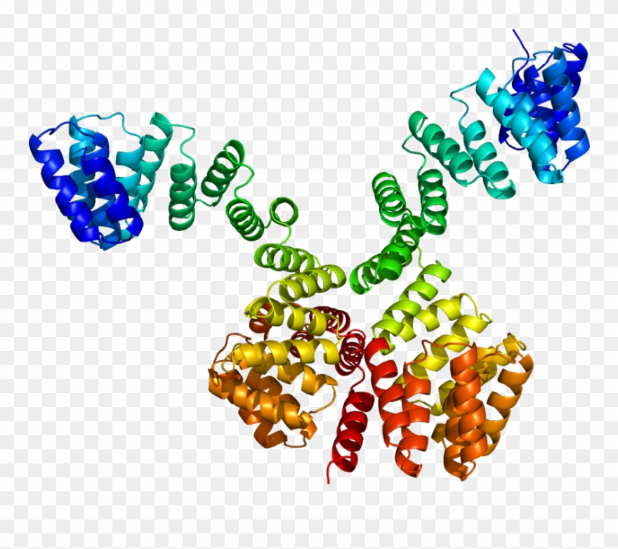 Ogt Enzyme Clipart (#1745162) - PinClipart