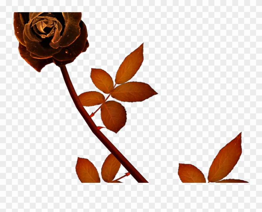 Glücklicher Jahrestag, Valentinsgruß Karte Clipart (#1786866) - PinClipart