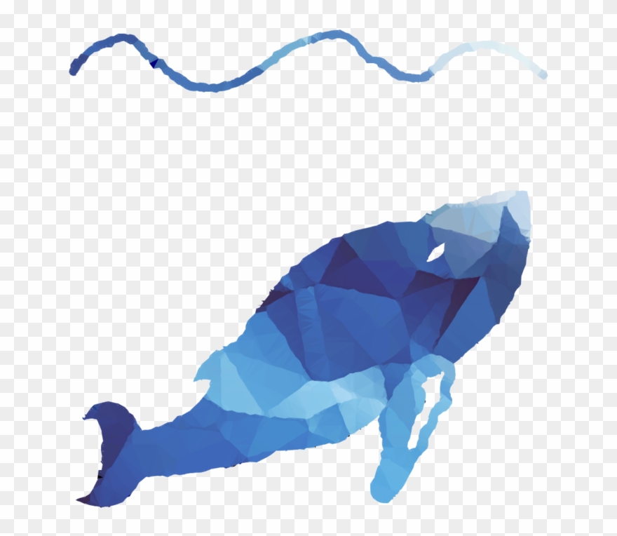 Dolphin Clipart Dolphin Porpoise Whales - Illustration - Png Download ...