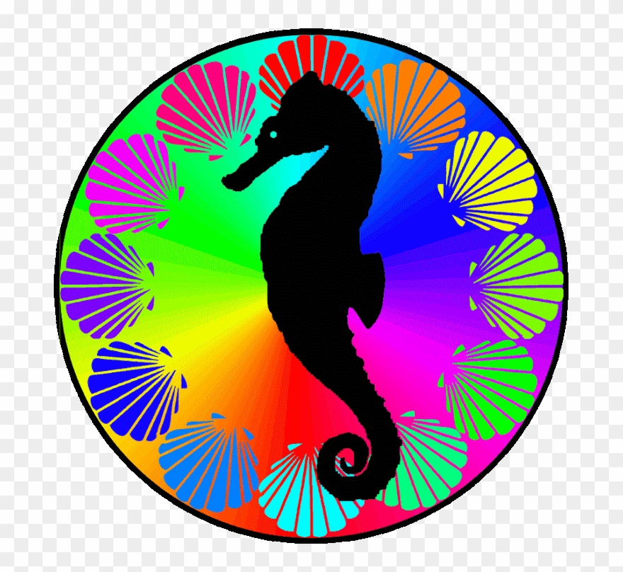 Circle Clipart Seashell - Circle - Png Download (#1799138) - PinClipart