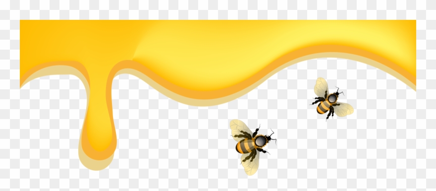 Bees🐝bears🐝honey Clip Art, Album, Bears, Honey, Bear, - Bear - Png ...