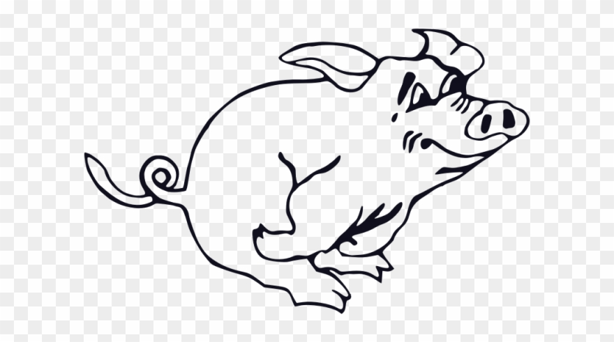 Pig Clipart Sketch - Pig Running Coloring Pages - Png Download ...