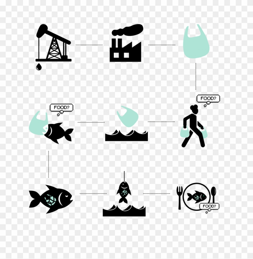 Human Life Cycle Clipart - Png Download (#1886442) - PinClipart