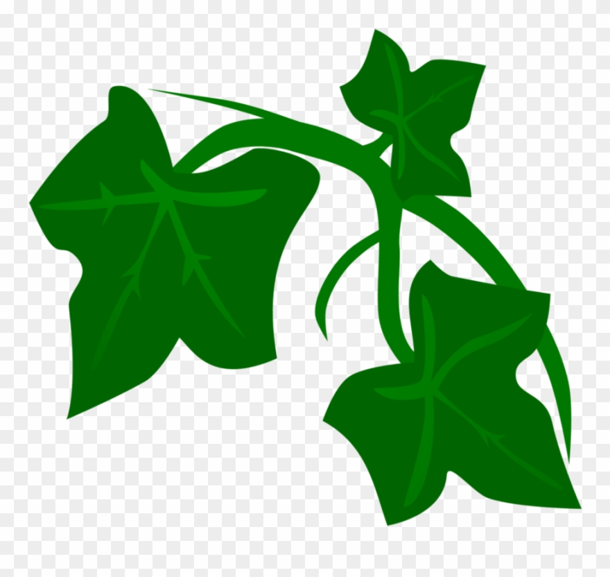 Clipart At Getdrawings Com - Poison Ivy Plant Cartoon - Png Download ...