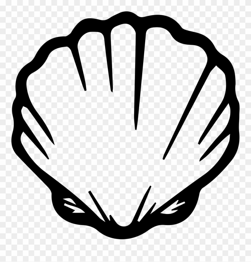 Download Seashell Shell Ocean Beach Sea Png Image - Black White Clip ...