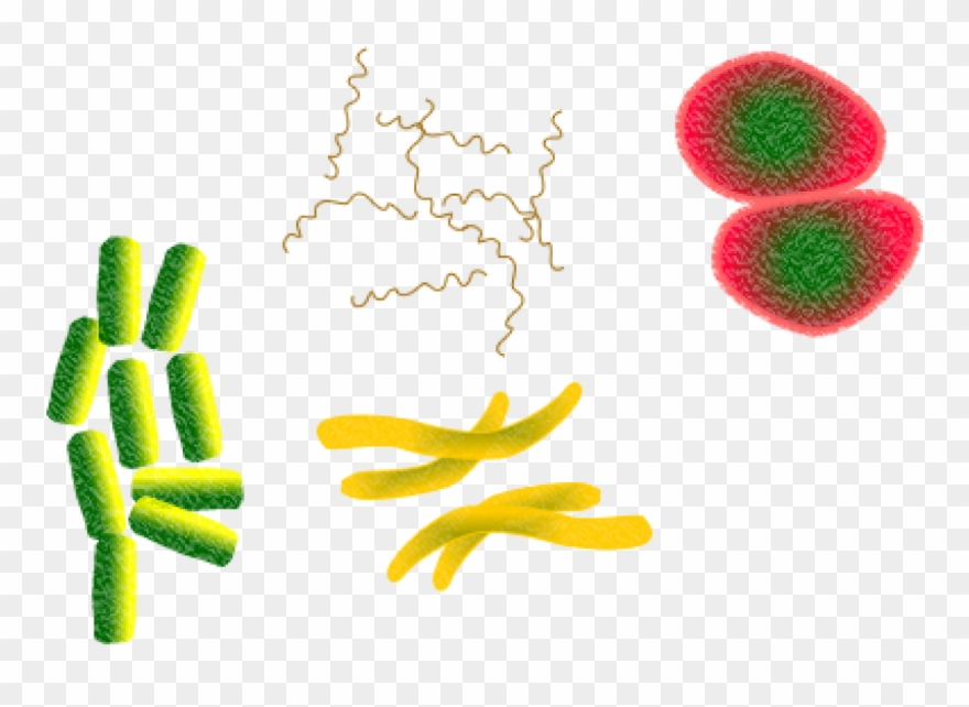Download Bacteria Microbes Infection Png Image - Bacteria Clipart ...