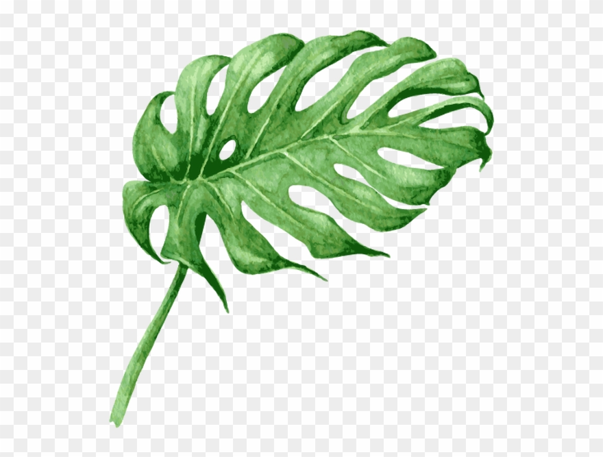 Maha Farhoud - Incado Heaven On 3rd Collection Leaf Green Framed Poster, Clipart (#1944197 ...