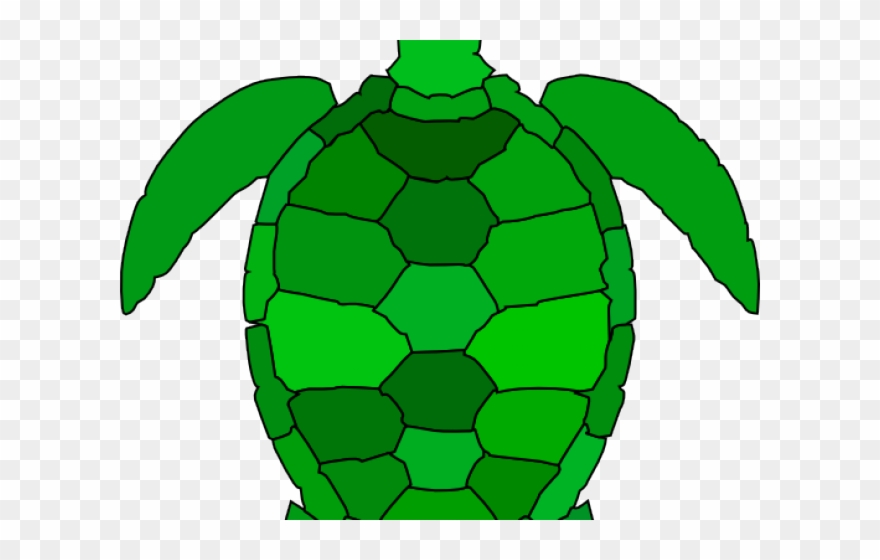 Green Clipart Seashell - Sea Turtle Clip Art - Png Download (#1979518 ...