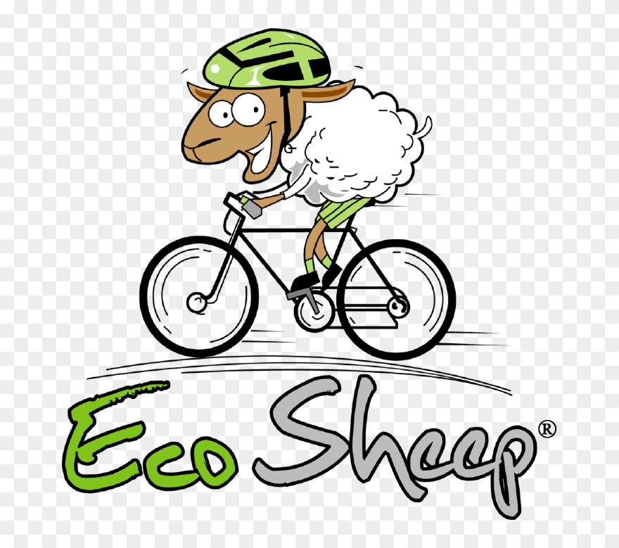 Eco Sheep Is Making Bicycles Greener By Lubricating - Sheep Riding A ...