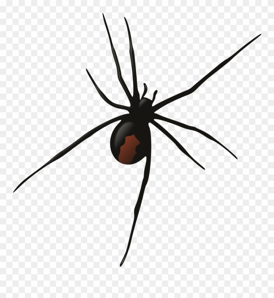 Female Redback Spider - Redback Spider Silhouette Png Clipart (#27672 ...