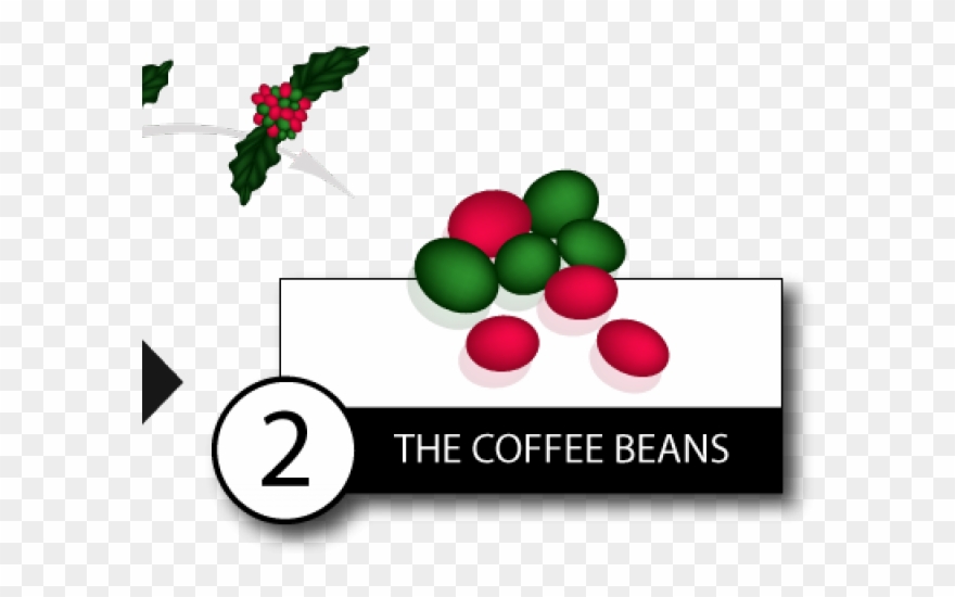 Seed Clipart Kopi - 3 Odst Keep It Clean - Png Download (#2074001 ...