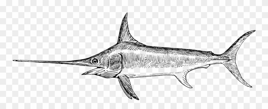 Swordfish Clipart (#2086722) - PinClipart