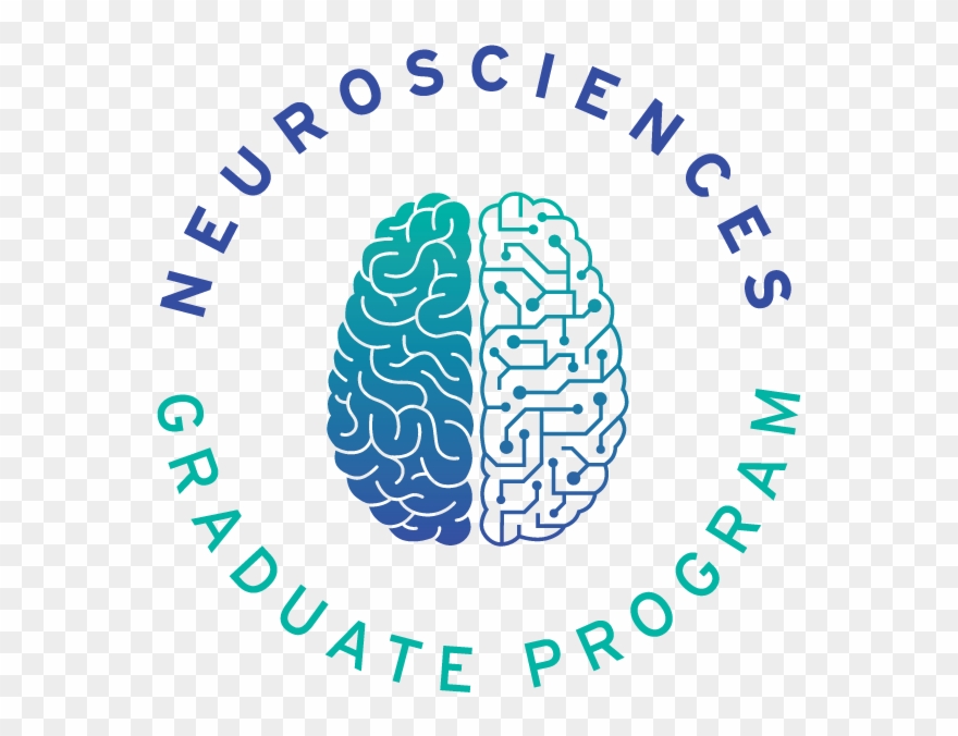 Our Outreach Program Brings Graduate Students From - Ucsd Neuroscience ...