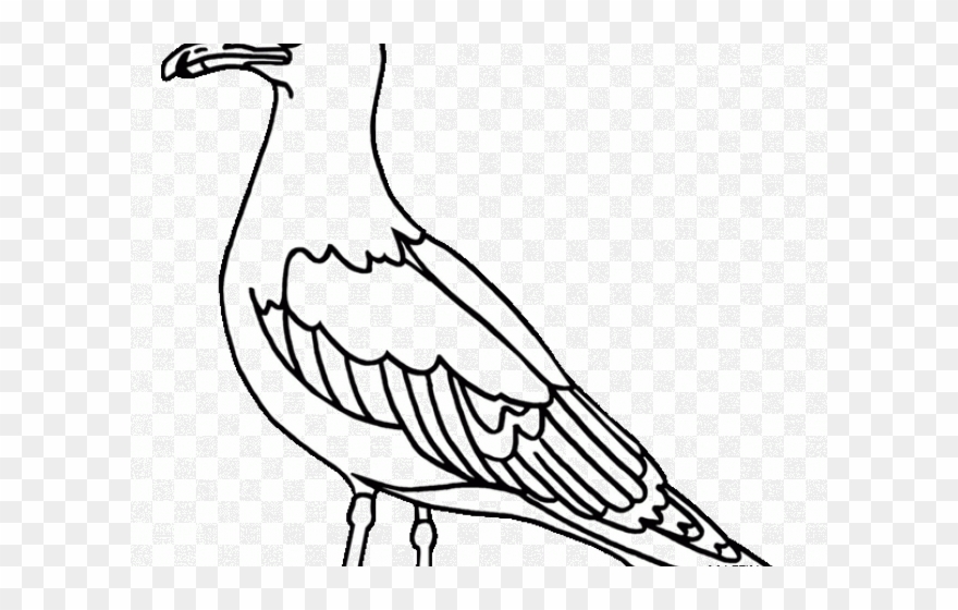 Download Drawn Seagull Free Clip Art - Utah State Bird - Png Download ...