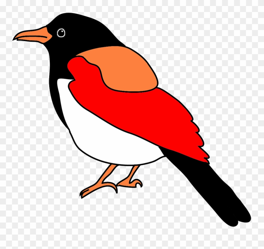 Blackbilled Magpie In Fantasy Colors - Colorful Bird Clip Art - Png ...