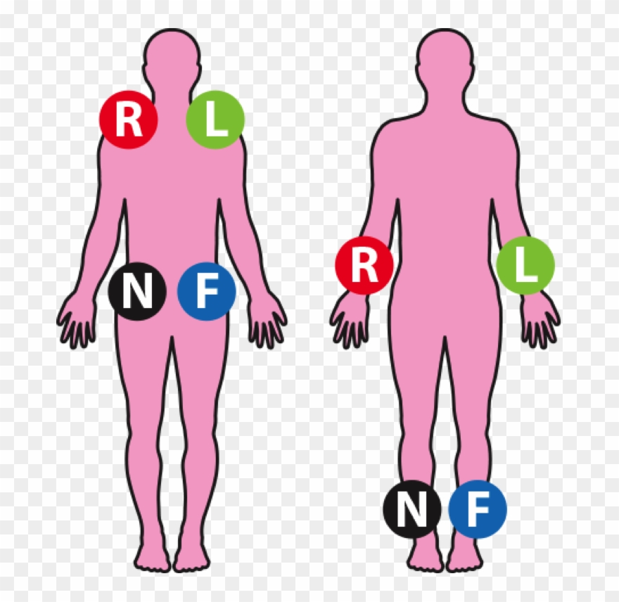 Download Image Transparent Stock Ekg Clipart Ems - Ecg Limb Leads ...