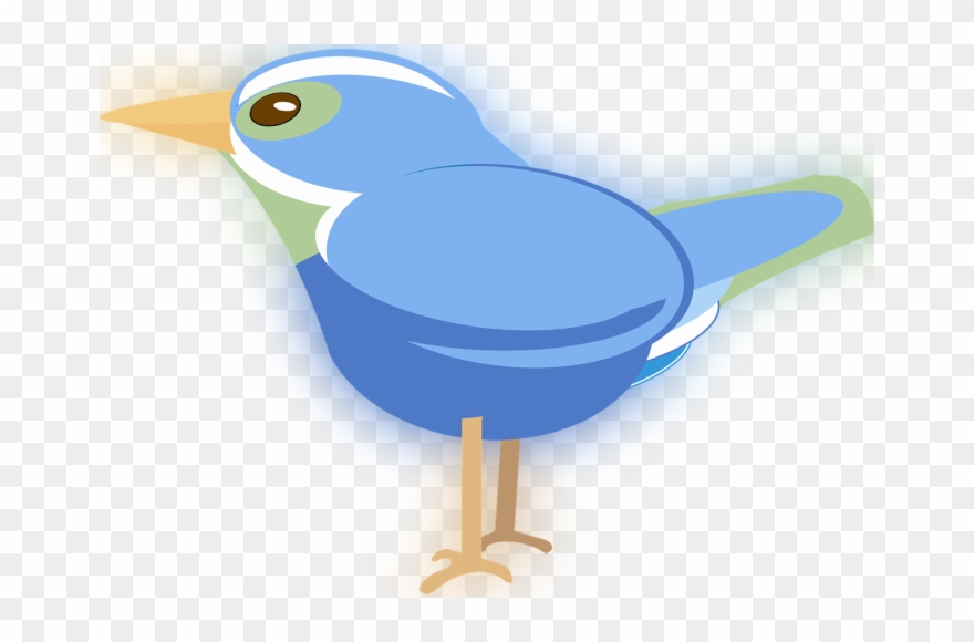 Download Color Palette Ideas From Bird Beak Clip Art Image - Vector ...