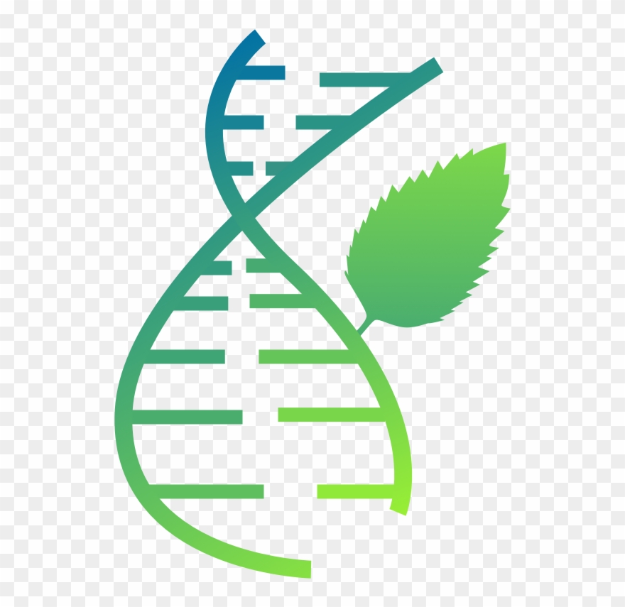 Mint Can Analyze Structure Of Your Rna Molecule Meaning - Icon Clipart ...