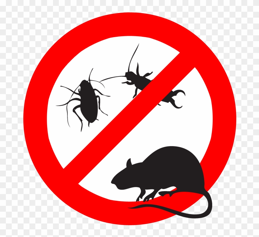 Insect And Pest Repellent - Bedbug Clipart (#2185024) - PinClipart