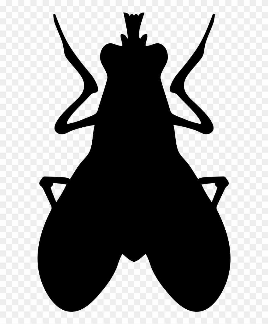 Blow Fly Insect Shape Comments Clipart (#2265690) - PinClipart