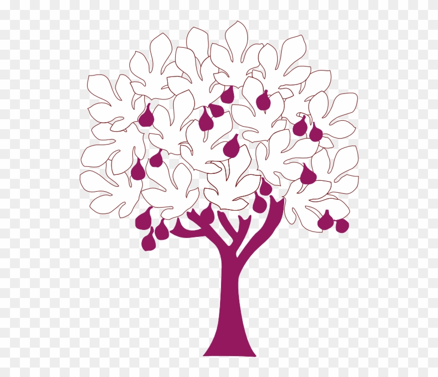 Fig Tree Clip Art - Png Download (#2277306) - PinClipart