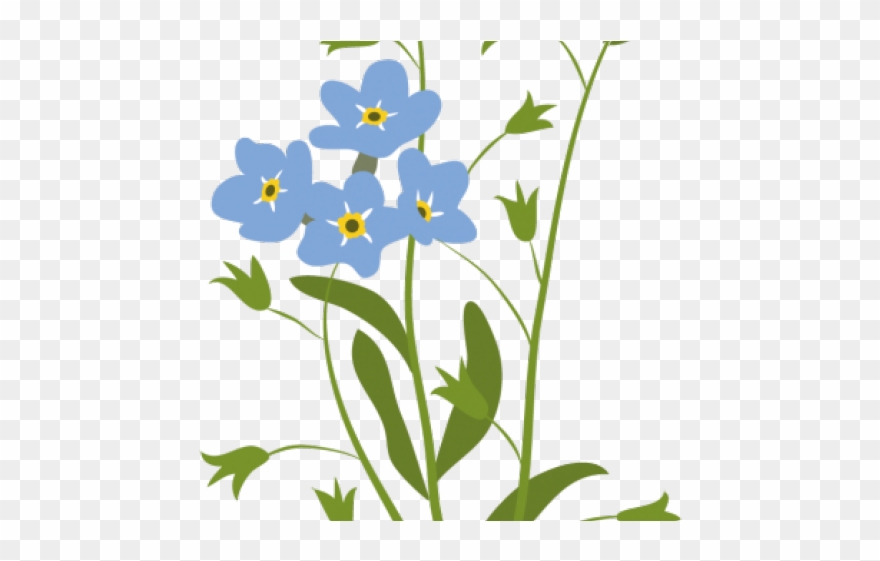 Nectar Clipart Summer Flower - Png Download (#2279124) - PinClipart