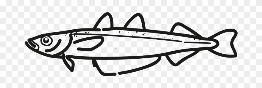 Southern Blue Whiting Clipart (#2299441) - PinClipart