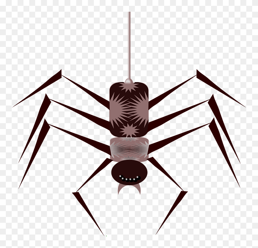 Arachnid Clipart Small Spider - Animated Spider Png Gif Transparent Png ...