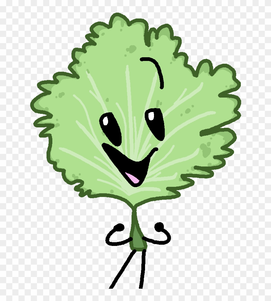 Cilantro, Clipart (#2327977) - PinClipart