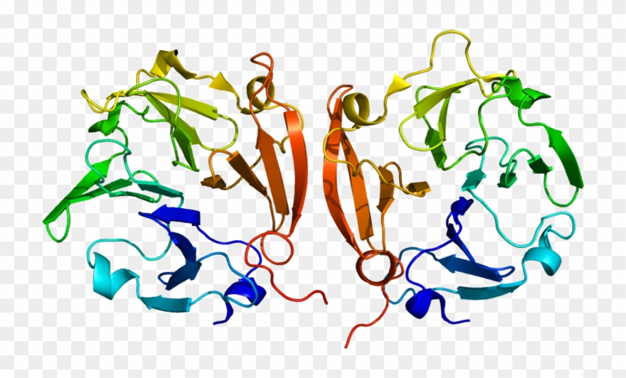 Download Structure Of The Mmp9 Protein Clipart (#2347356) - PinClipart