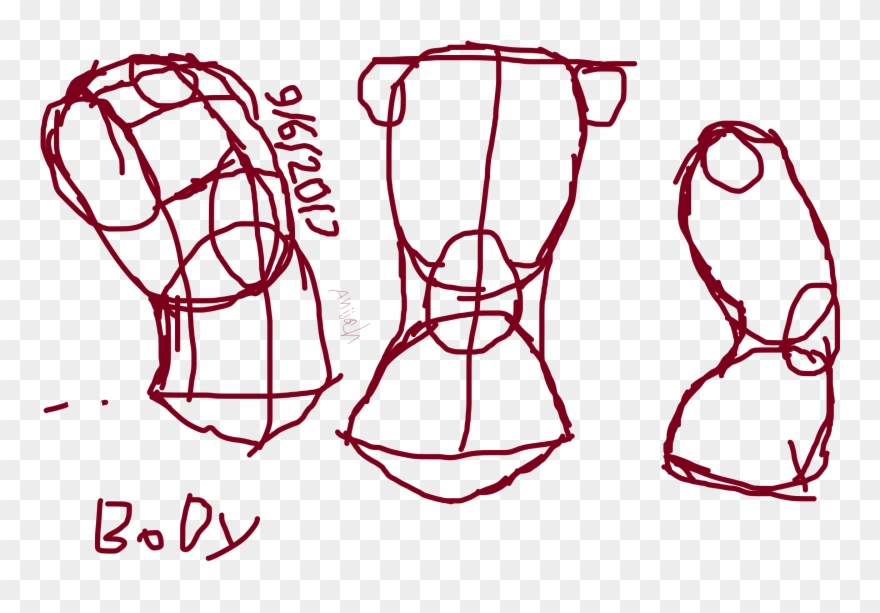 Torso Clip Art - Png Download (#2349594) - PinClipart