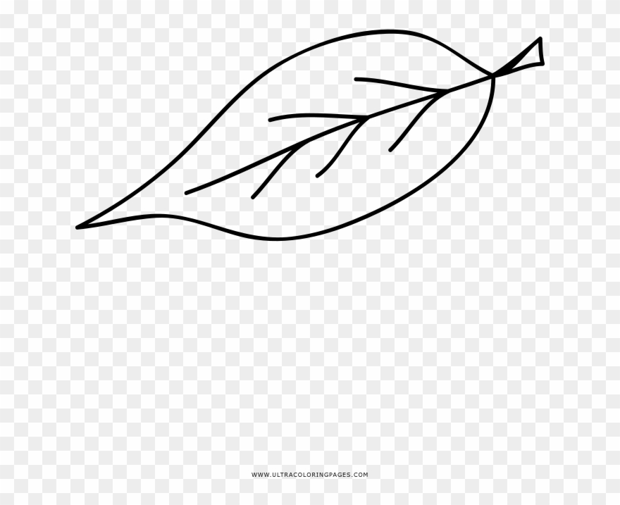 Tea Leaf Coloring Page Clipart (#2350790) - PinClipart