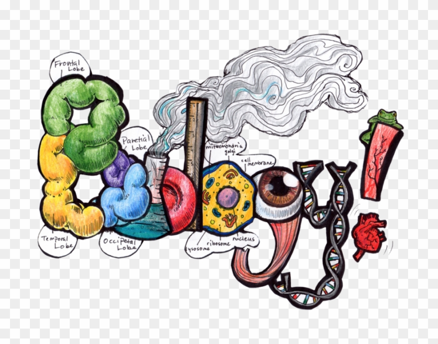 Free Biology Study Notes Perfect For Teachers And Students Clipart ...