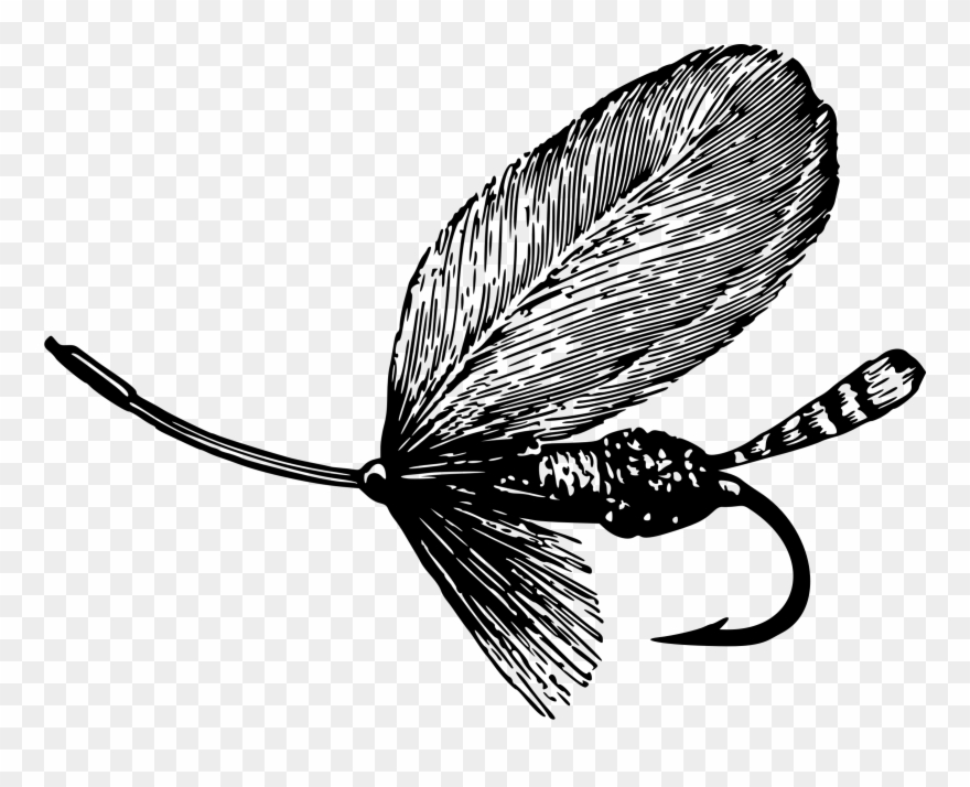 All Photo Png Clipart - Clip Art Of Fly Fishing Black And White ...