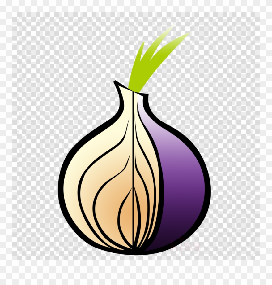 Tor Browser Icon Png Clipart Tor Bowser Transparent Png (#2403596 ...
