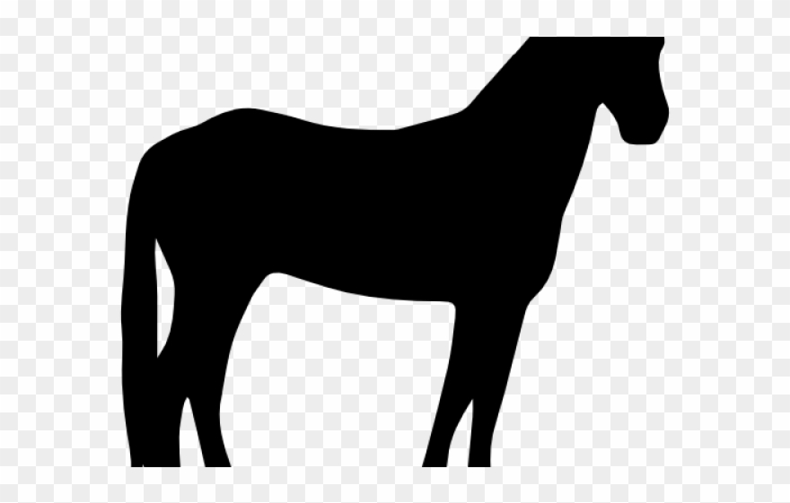 Mare Clipart Side View - Png Download (#2403681) - PinClipart