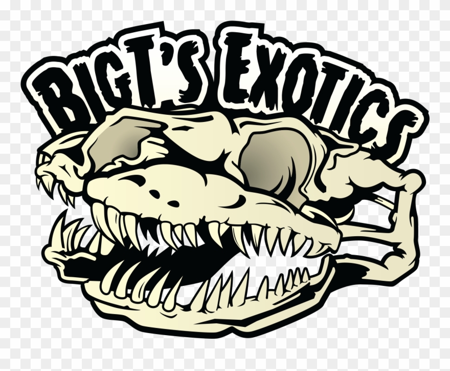 Exotic Clip Art - Png Download (#2408403) - PinClipart