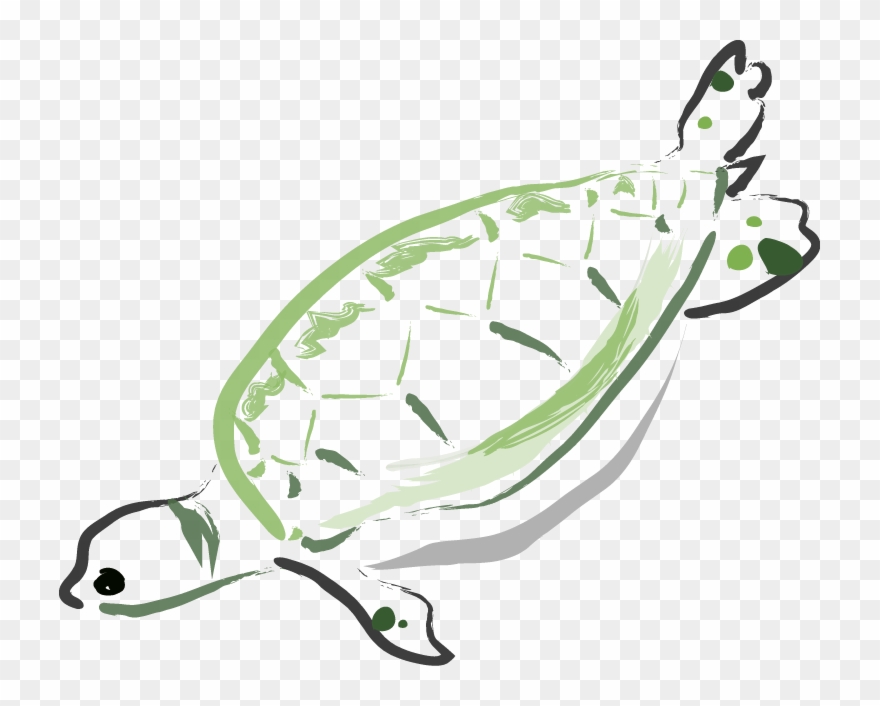 Gopher Tortoise Clipart - Png Download (#2421383) - PinClipart