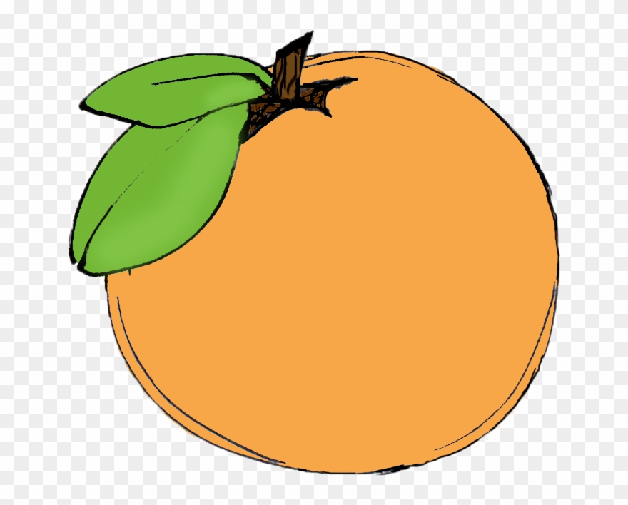 Clementine Clip Art - Png Download (#2456683) - PinClipart
