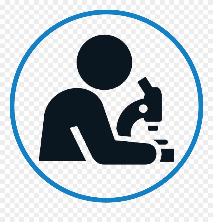 Antibody And Protein Characterization Services Clipart (#2485383 ...