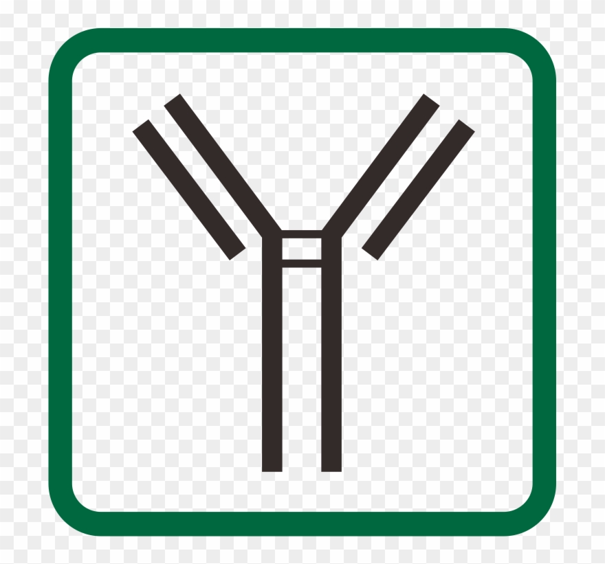 Download Antibodies Clipart (#2485424) - PinClipart